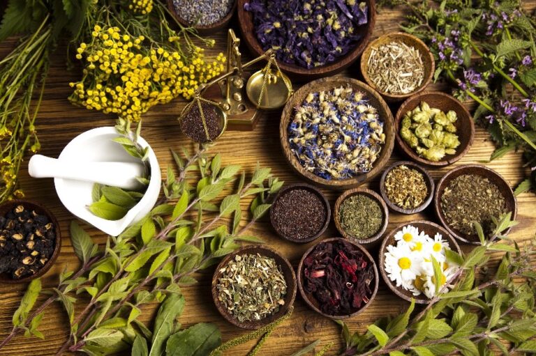 Pengobatan Ayurveda Sebagai Rahasia untuk Hidup Sehat dan Seimbang di ...
